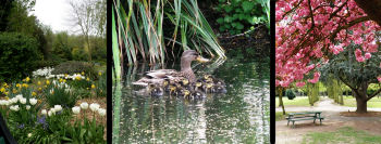 Broxbourne District Council - Case Study - Case Communications